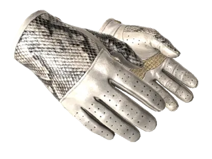 All Counter Strike 2 Driver Gloves finishes - CSCASEOPENING.COM