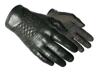 All Counter Strike 2 Driver Gloves finishes - CSCASEOPENING.COM
