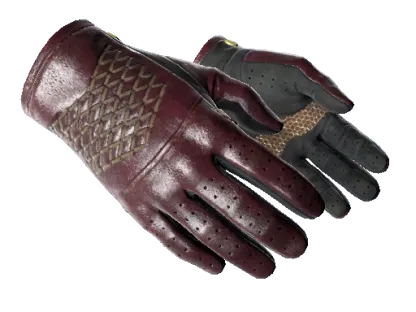 All Counter Strike 2 Driver Gloves finishes - CSCASEOPENING.COM